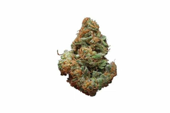 กัญชาสายพันธุ์อินดิกาที่ดีที่สุดในประเทศไทย ปี 2024 | Weed Review