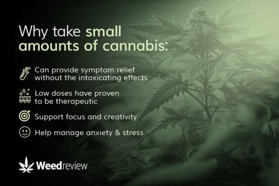 Microdosing Cannabis: Getting the Most from Low Dose of Weed