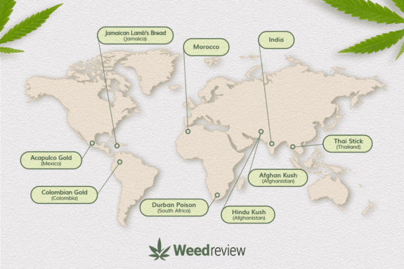 Thai Landrace Strains Explained | Weed Review