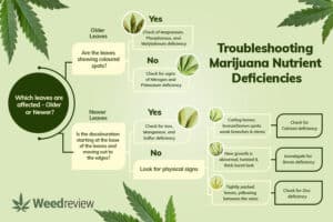 Marijuana Plants Nutrient Deficiency Chart | Weed Review