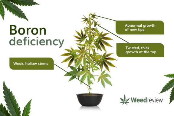 Marijuana Plants Nutrient Deficiency Chart | Weed Review